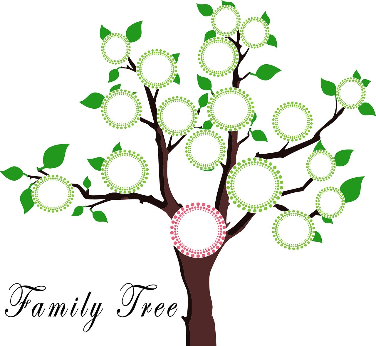tree, family, education-1951473 – Engle Genealogy